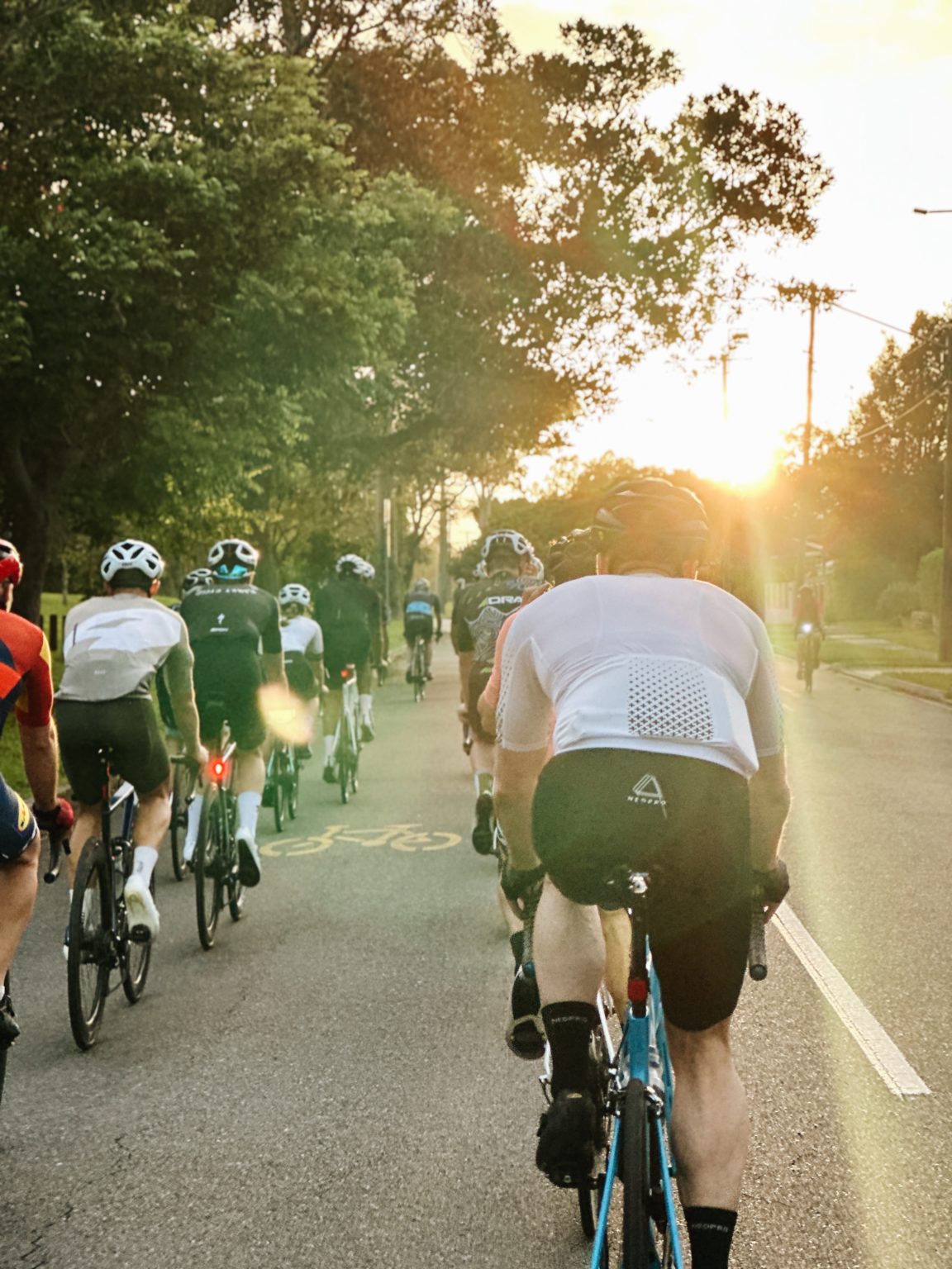 Pedal Brisbane – Brisbane Best Cycling Guide