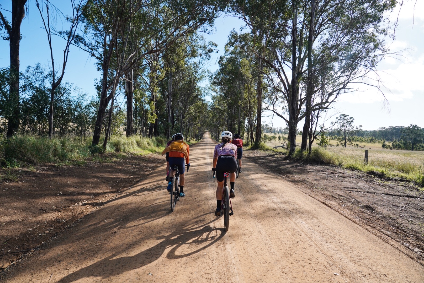 Pedal Brisbane – Brisbane Best Cycling Guide
